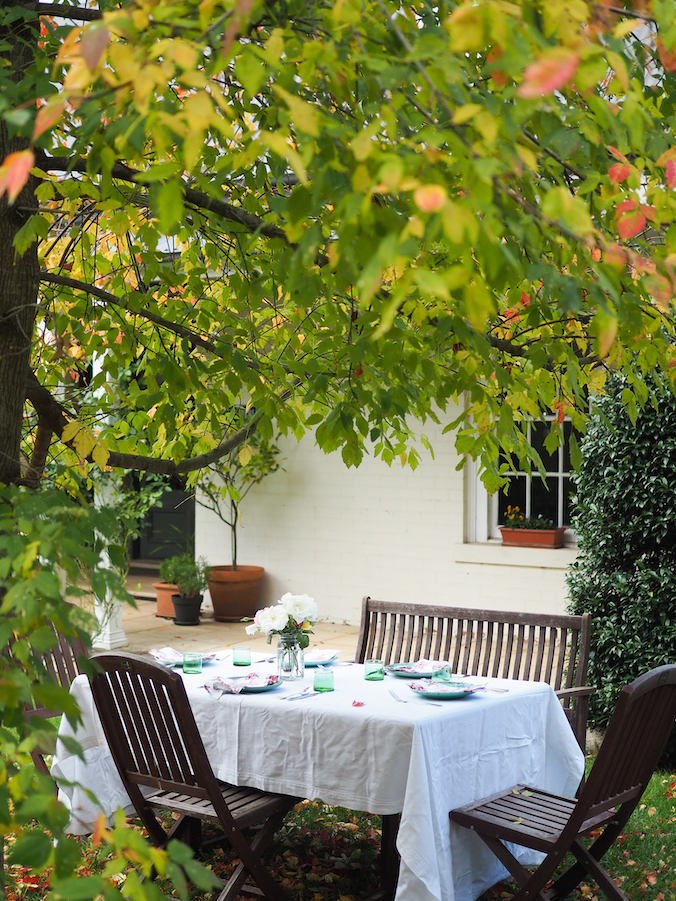 Lunch under the tree — BabyMac